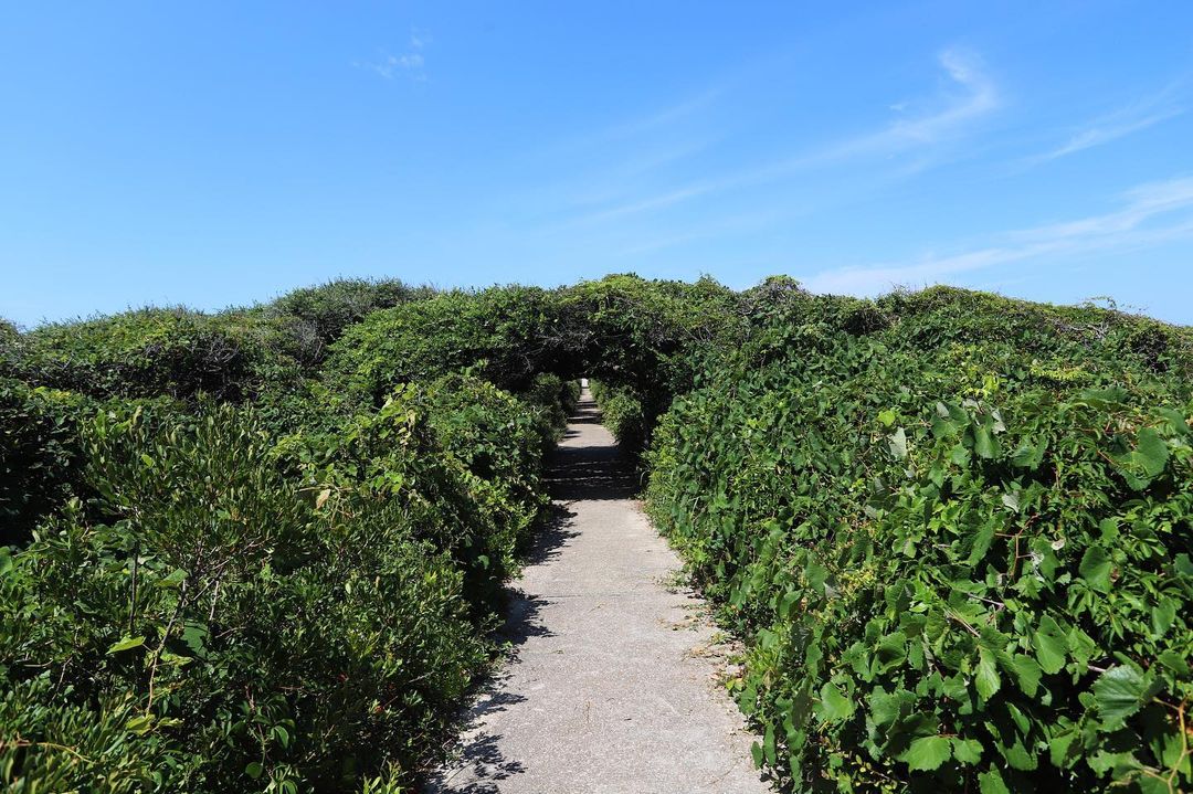 Visitors Guide To Pea Island National Wildlife Refuge First Flight